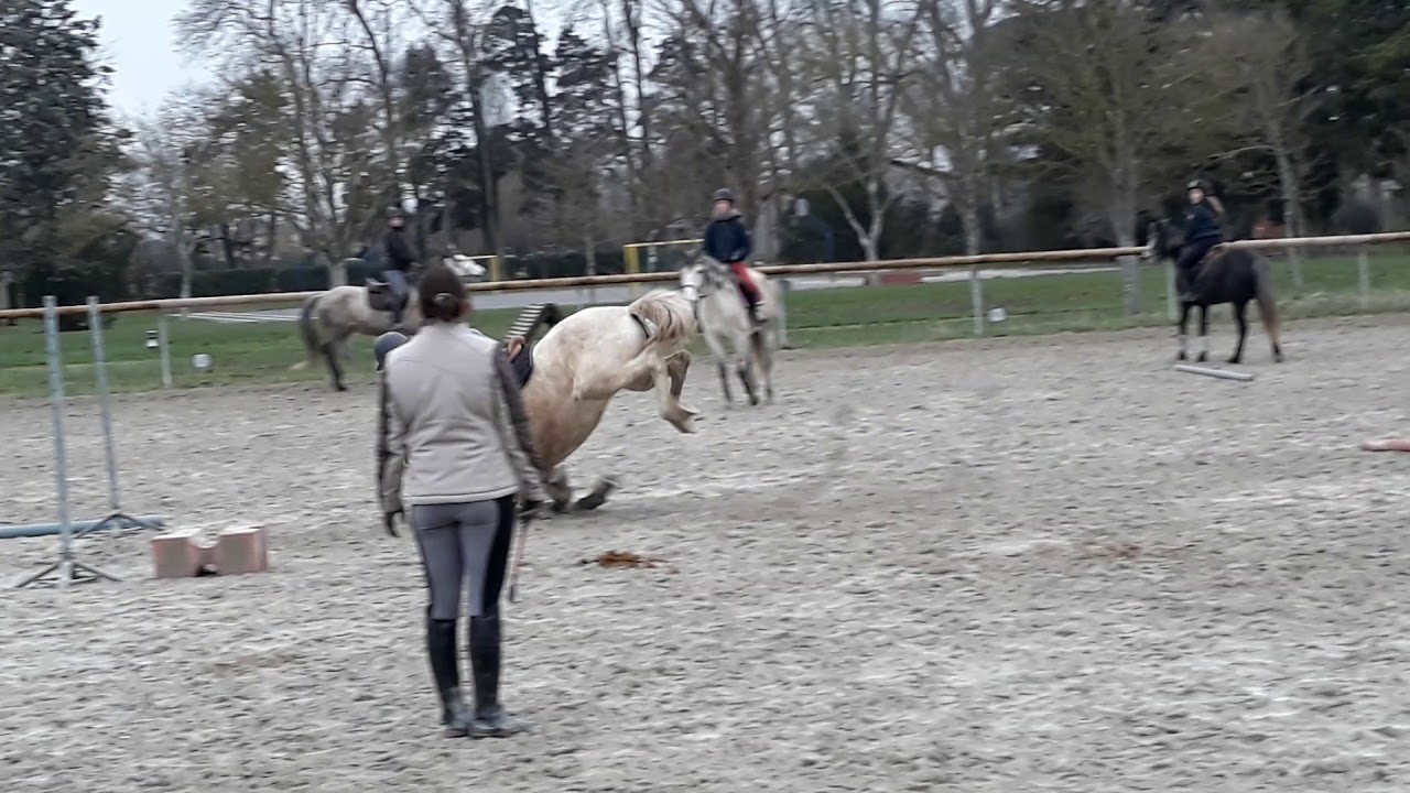 Chute de cheval 2018 😂🐎 - YouTube