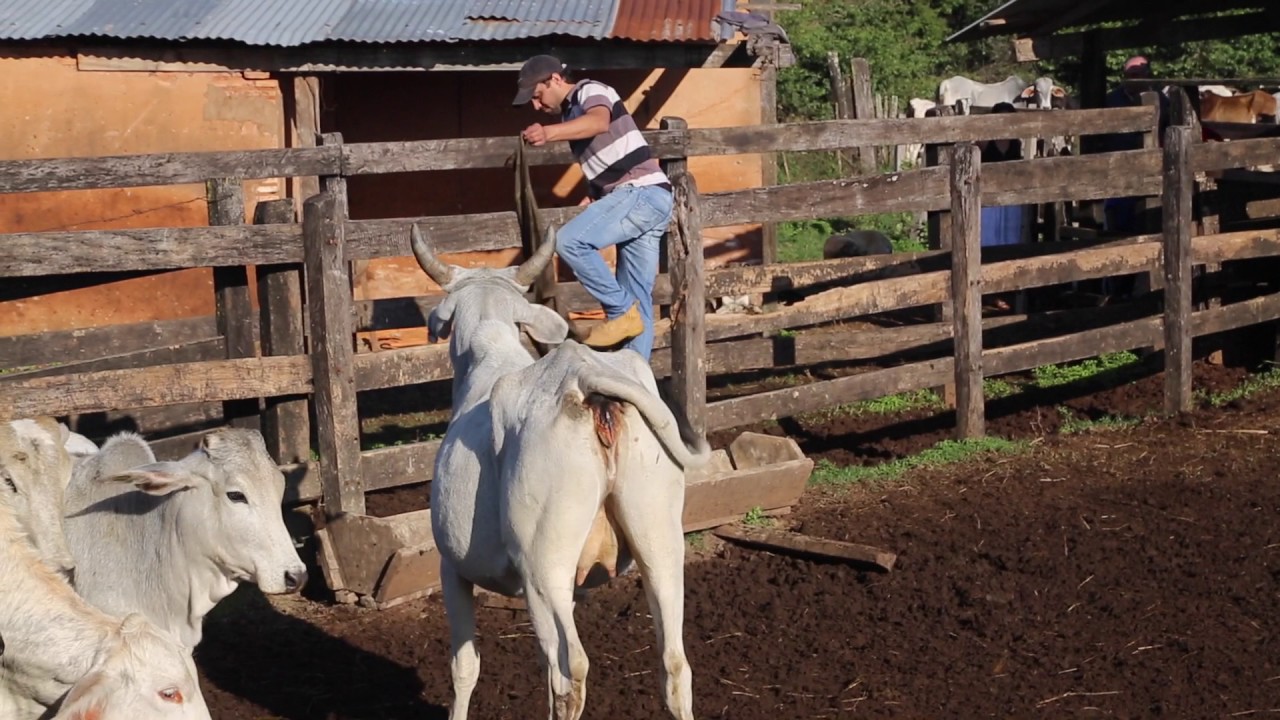 Paraguay Ferme / Paraguay Farm - YouTube