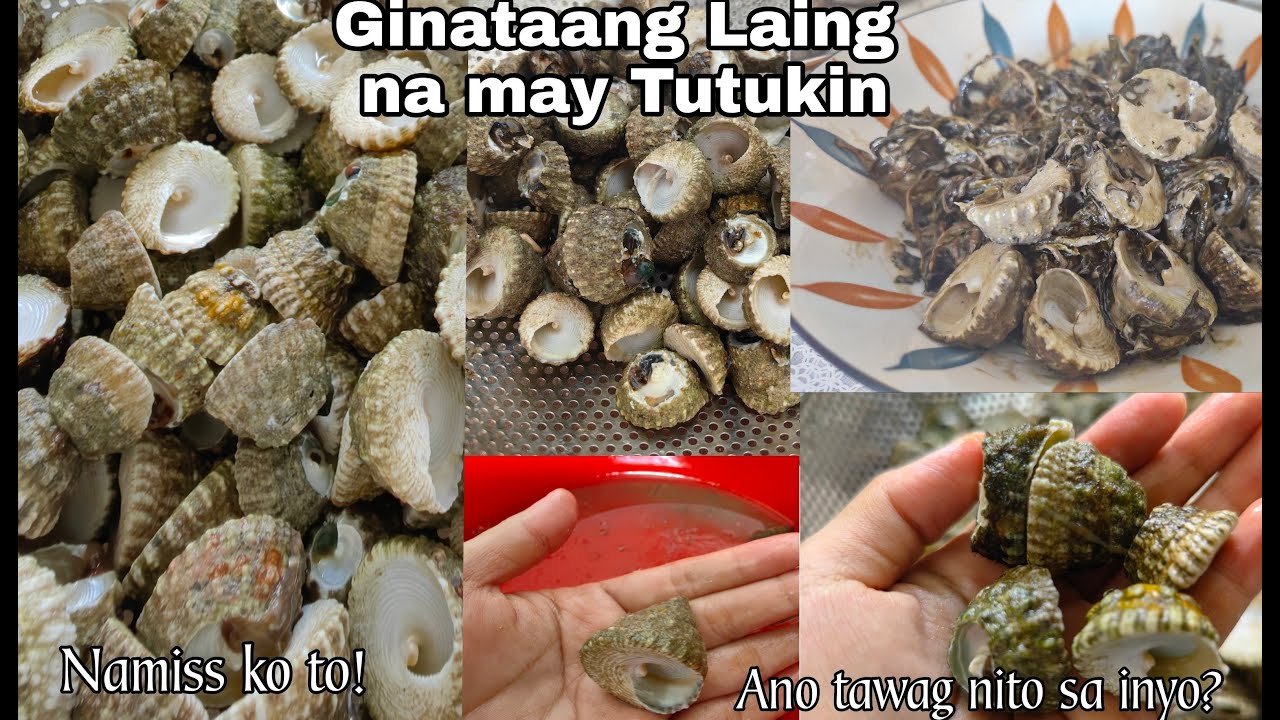 Ginataang Laing na may Tutukin, simpleng ulam sa probinsya namin, # ...