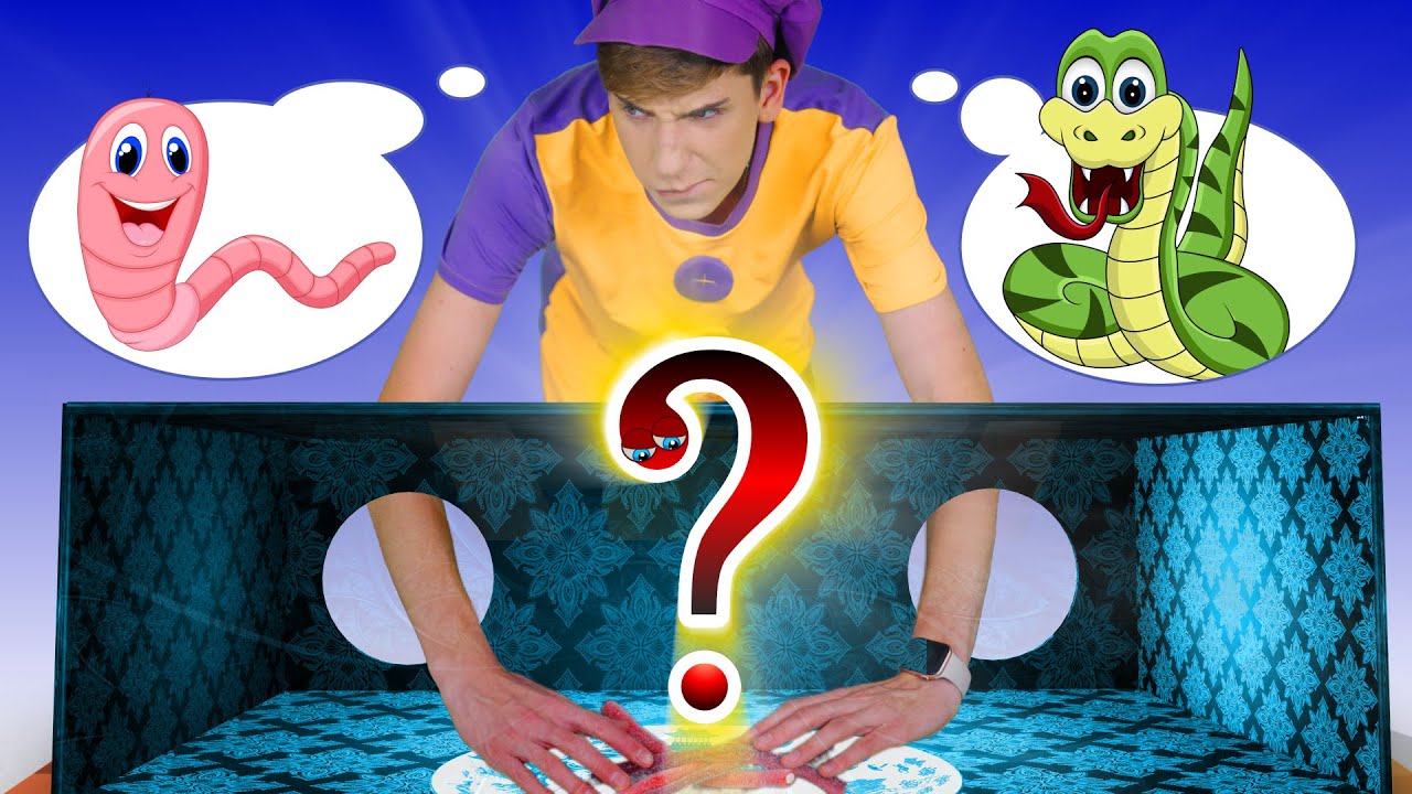 Guess What's in The Mystery Box! 📦⁇ | Kids Funny Songs - YouTube