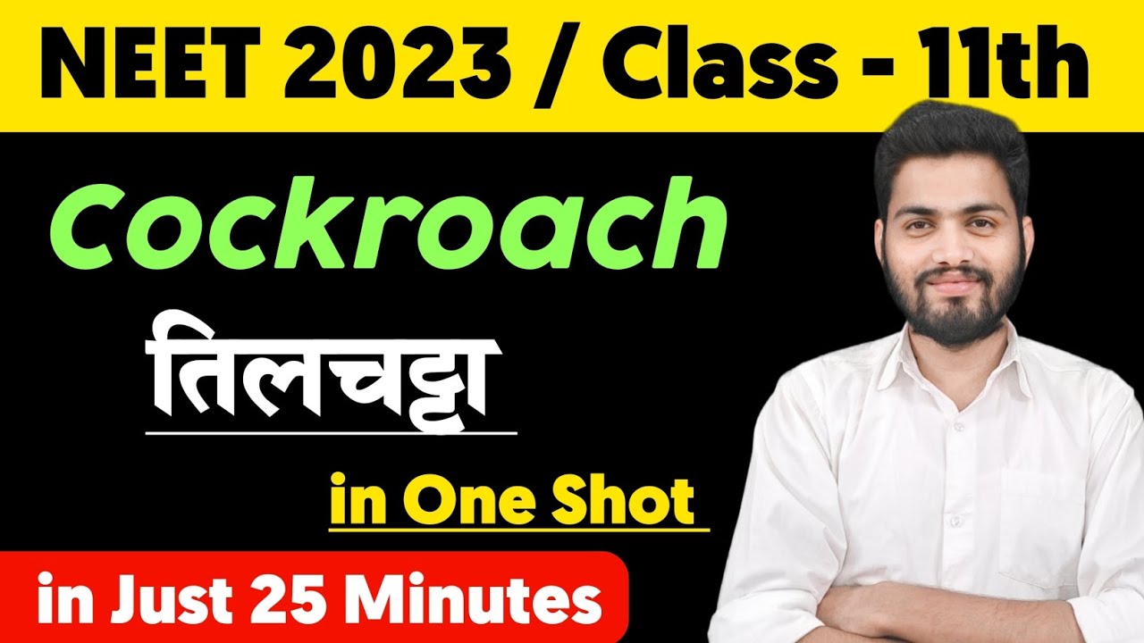 Cockroach in One Shot ll तिलचट्टा ll Short Notes ll NEET 2023 ll Hindi ...
