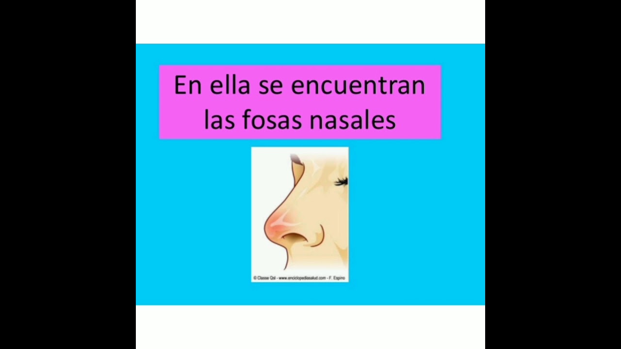 los olores agradables y desagradables. - YouTube