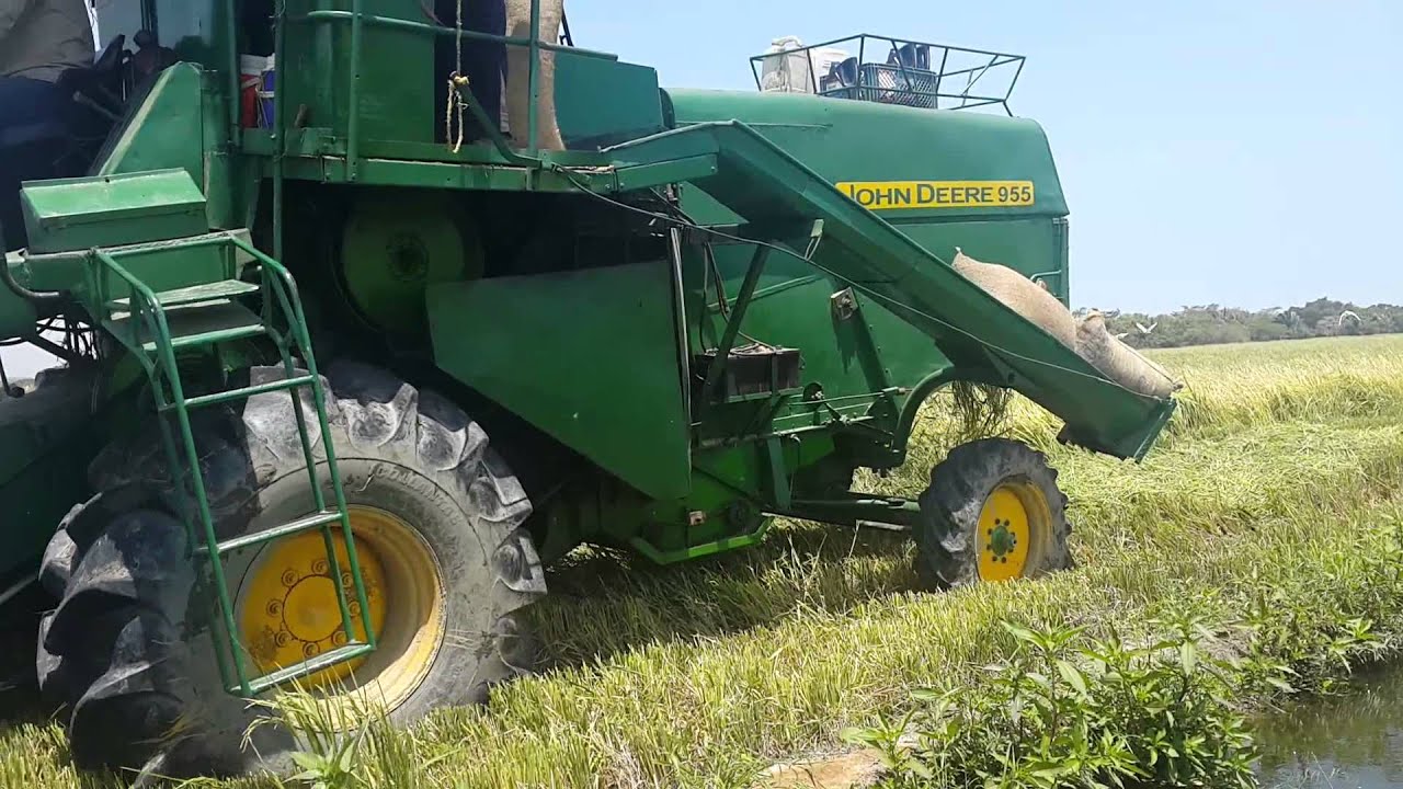 Corte de arroz con maquina - YouTube