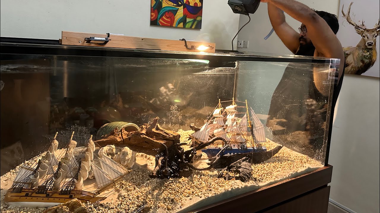 Desert Aquarium #aquarium #aquascaping #aquascape #shipwrecks #fish ...
