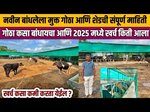 मुक्त संचार गोठा आणि शेड विषयी संपूर्ण माहिती | Mukta gotha Dairy farm ...