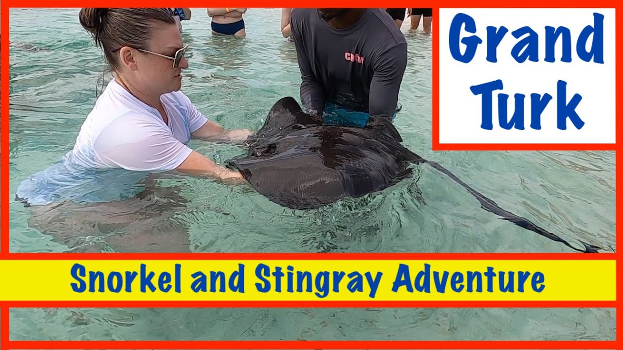 Grand Turk- Snorkel and Stingray Adventure - YouTube