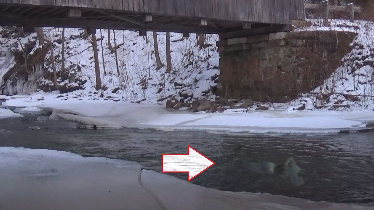 Mermaid Sighting in Greenland during Winter Storm - YouTube