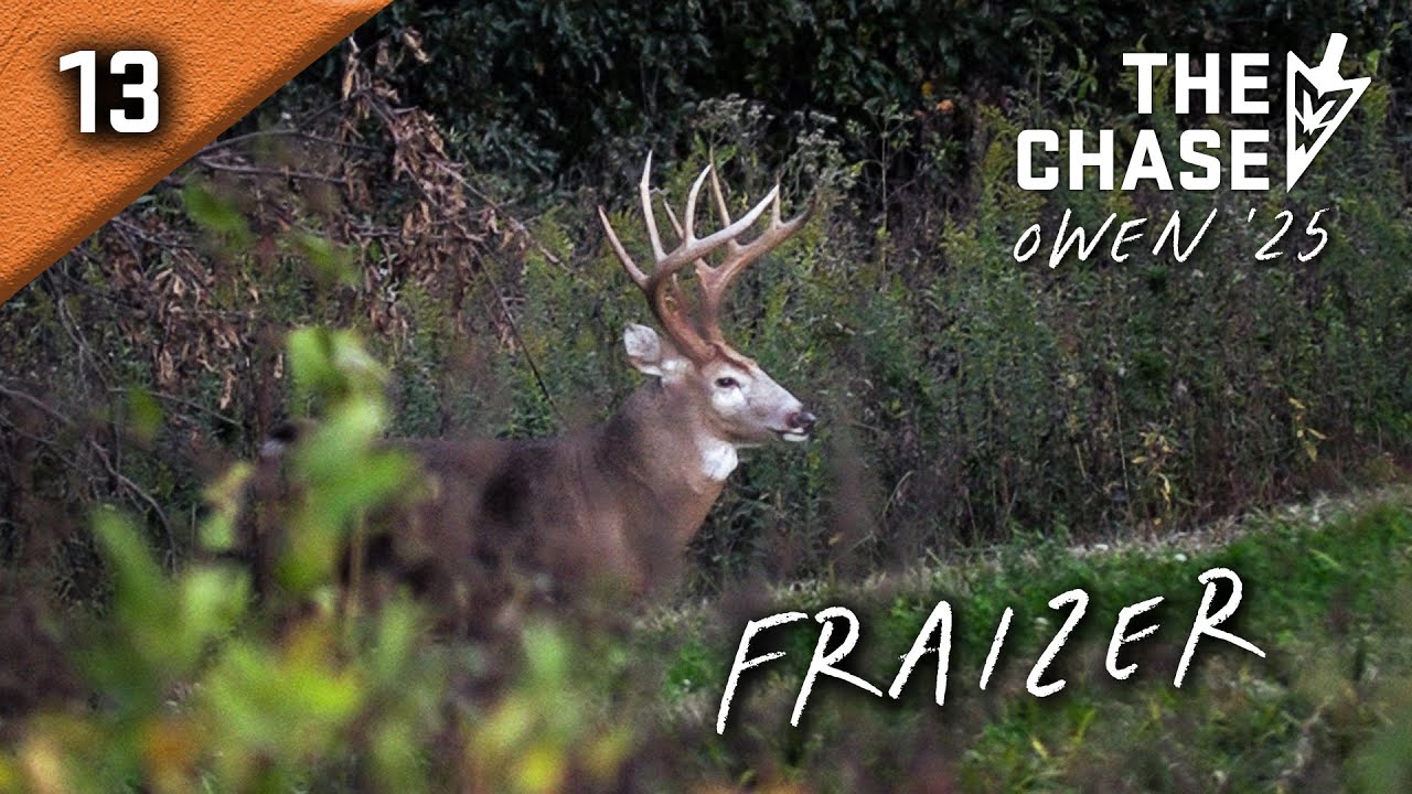 10-10-25: Giant Buck Scraping At The Rub Post, Perfect Hunt In Iowa ...