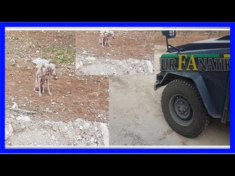 Şanlıurfa'da polisten örnek davranış