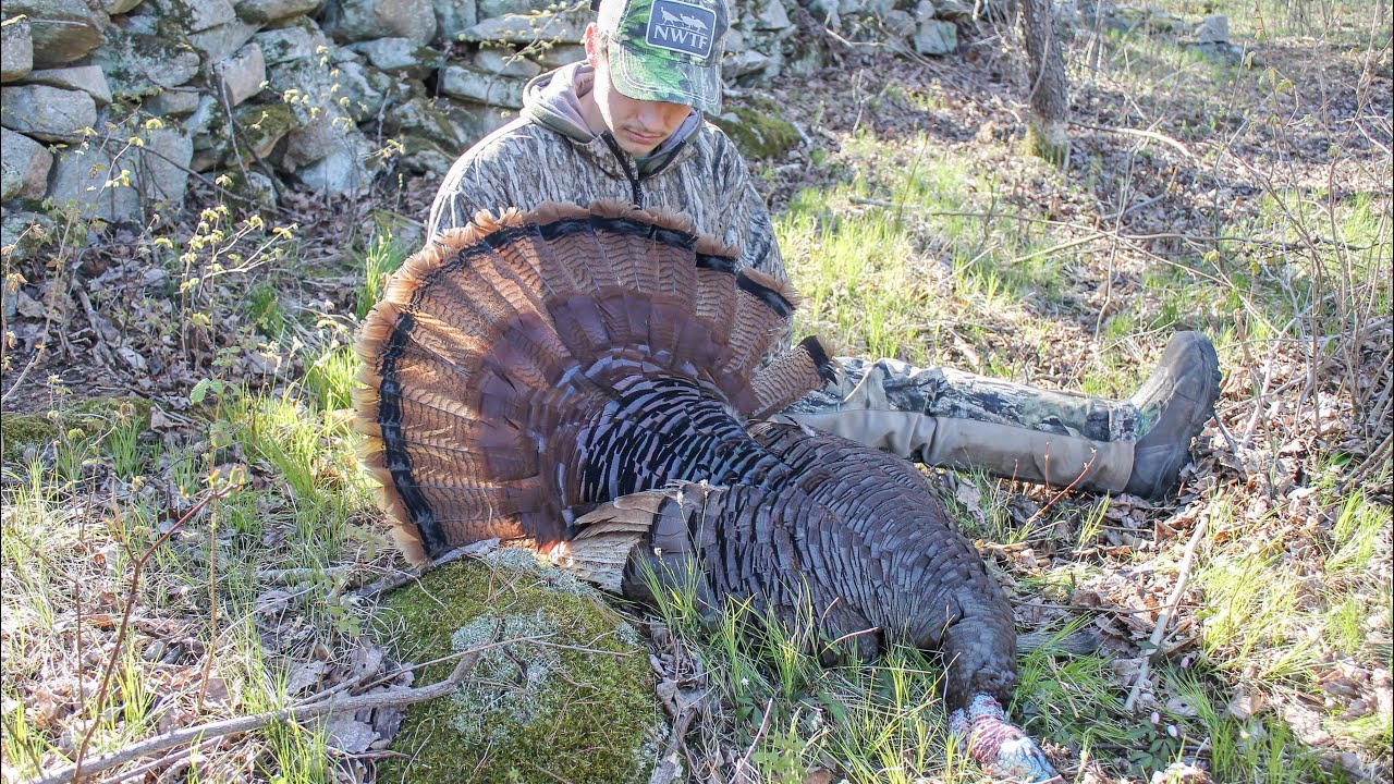 WI turkey hunt RED PHASE TURKEY!! - YouTube