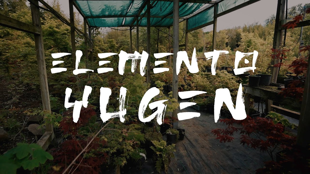 ELEMENTO YUGEN - The story of Philippe Smets | SUB ENG - YouTube