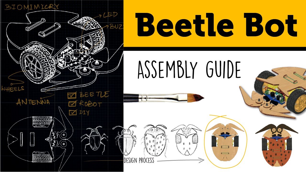 BeetleBot - Detailed assembly video. - YouTube