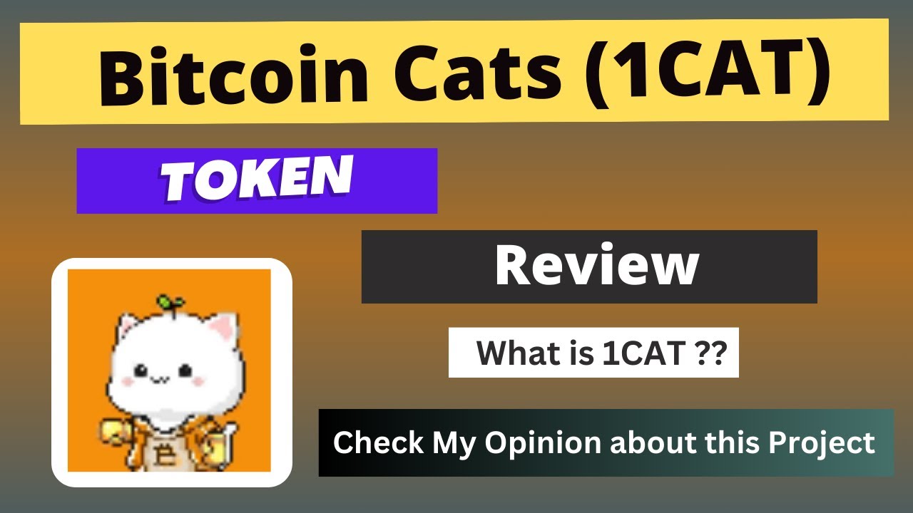 What is Bitcoin Cats (1CAT) Coin | Review About 1CAT Token - YouTube