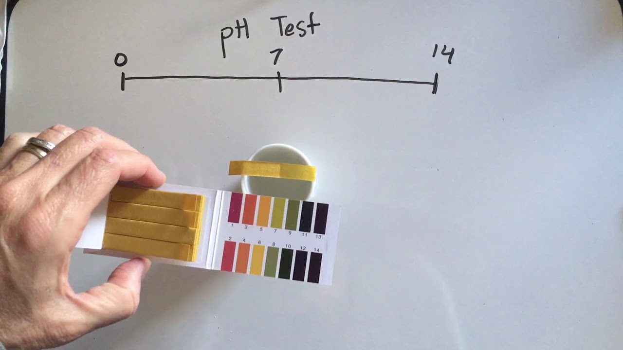 pH Demo - YouTube