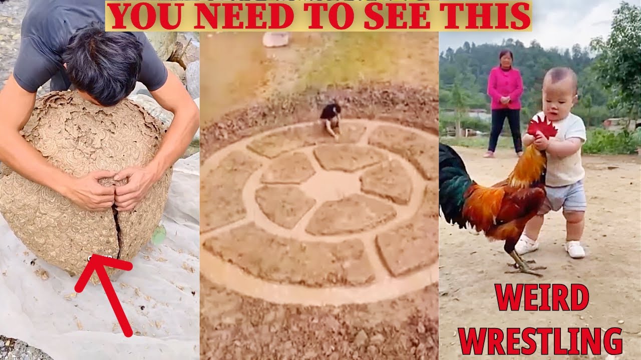 STRANGEST THINGS CAUGHT ON CAMERA | UNEXPLAINED VIRAL VIDEOS You Won't ...