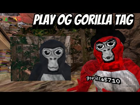 Playing og gorilla tag - YouTube