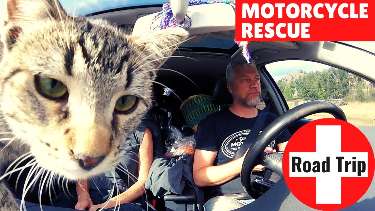 Motorcycle Rescue // COVID forces travellers to ship motorcycles from ...