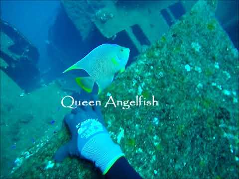 diving the Texas Clipper wreck - YouTube