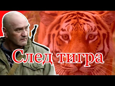 Фильм “След тигра” (2014) — боевик с тигром Амуром, Балуевым и китайцами