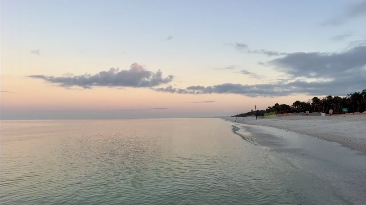 Part 2 of Robb’s Tuesday Morning Beach Walk in North Naples, FL 01/03 ...