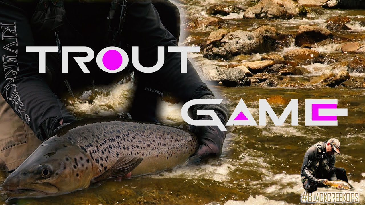 Brown Trout Fly Fishing NZ #BLACKCREEKOPS - YouTube