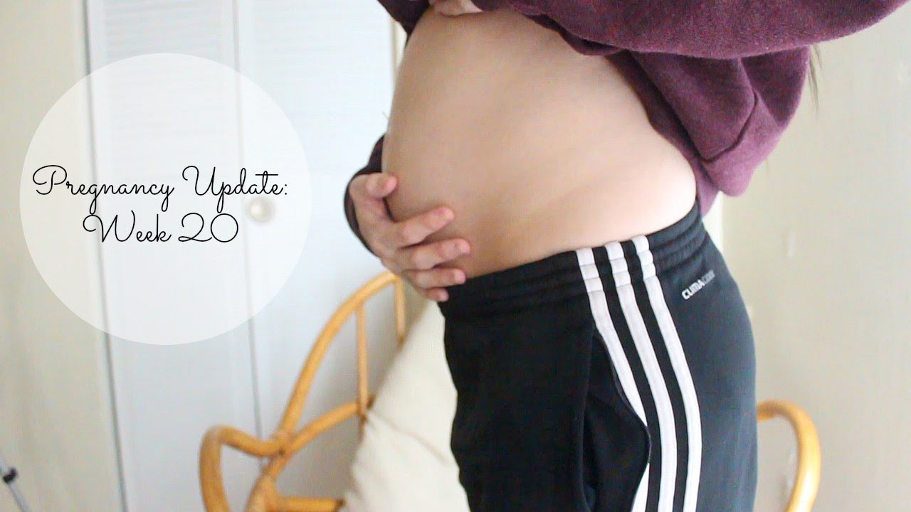 Pregnancy Update Week 20 Youtube