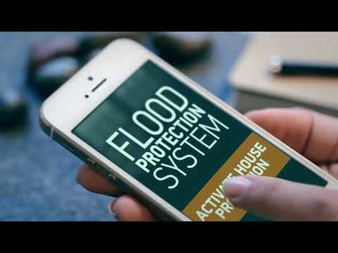 2D/3D Animation Studio! | Startfire