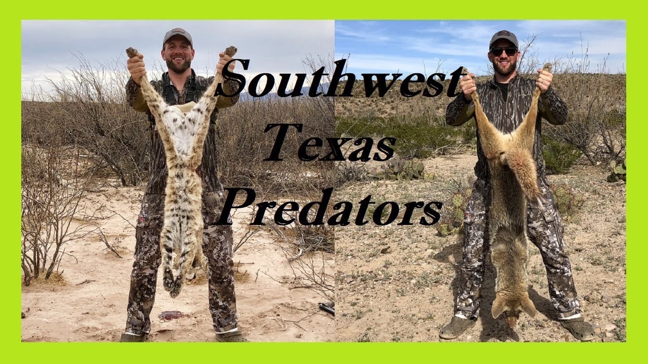 Predator Season Ep. 2 - Southwest Texas - YouTube