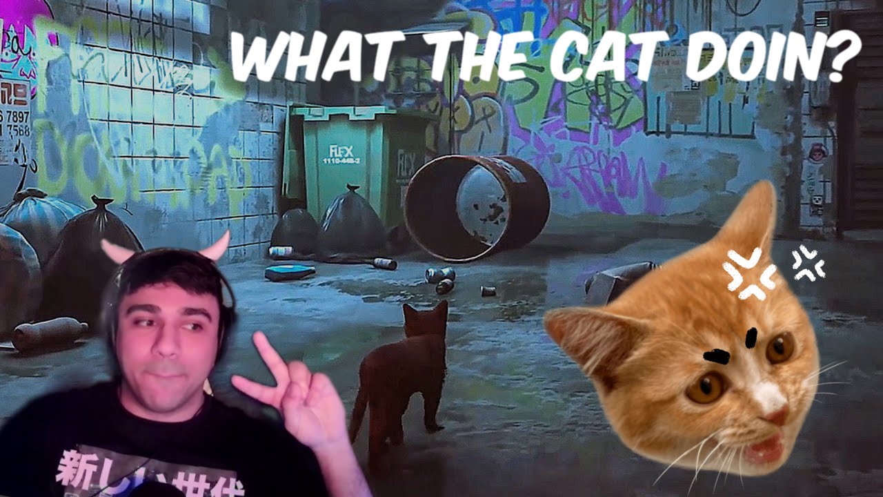 The cats outta the bag :o - Stray Part 4 - YouTube