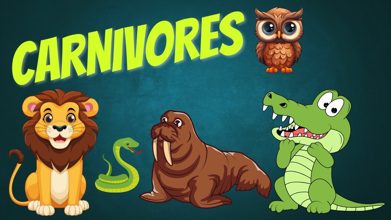 Explore the World of Carnivores! | Wild Animals for Kids | Learning ...