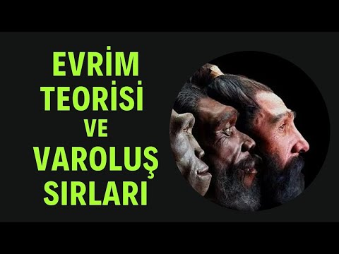 Evrim Teorisi ve Varoluş Sırları / Caner Taslaman / Ergi Deniz Özsoy