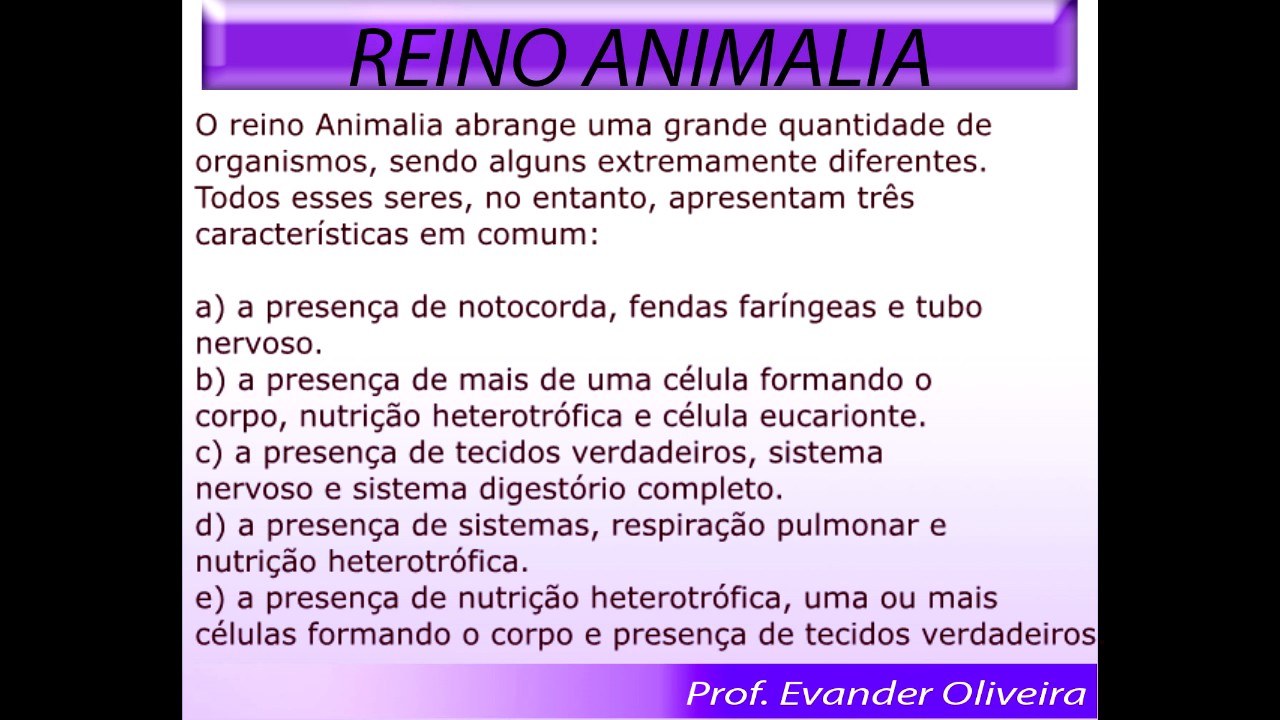 Reino Animalia - Domínio Eukarya - YouTube