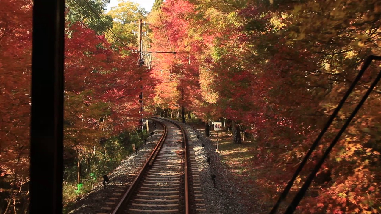 【京都の紅葉】【後方展望】叡山電鉄 紅葉のトンネル a maple tree tunnel in Kurama - YouTube