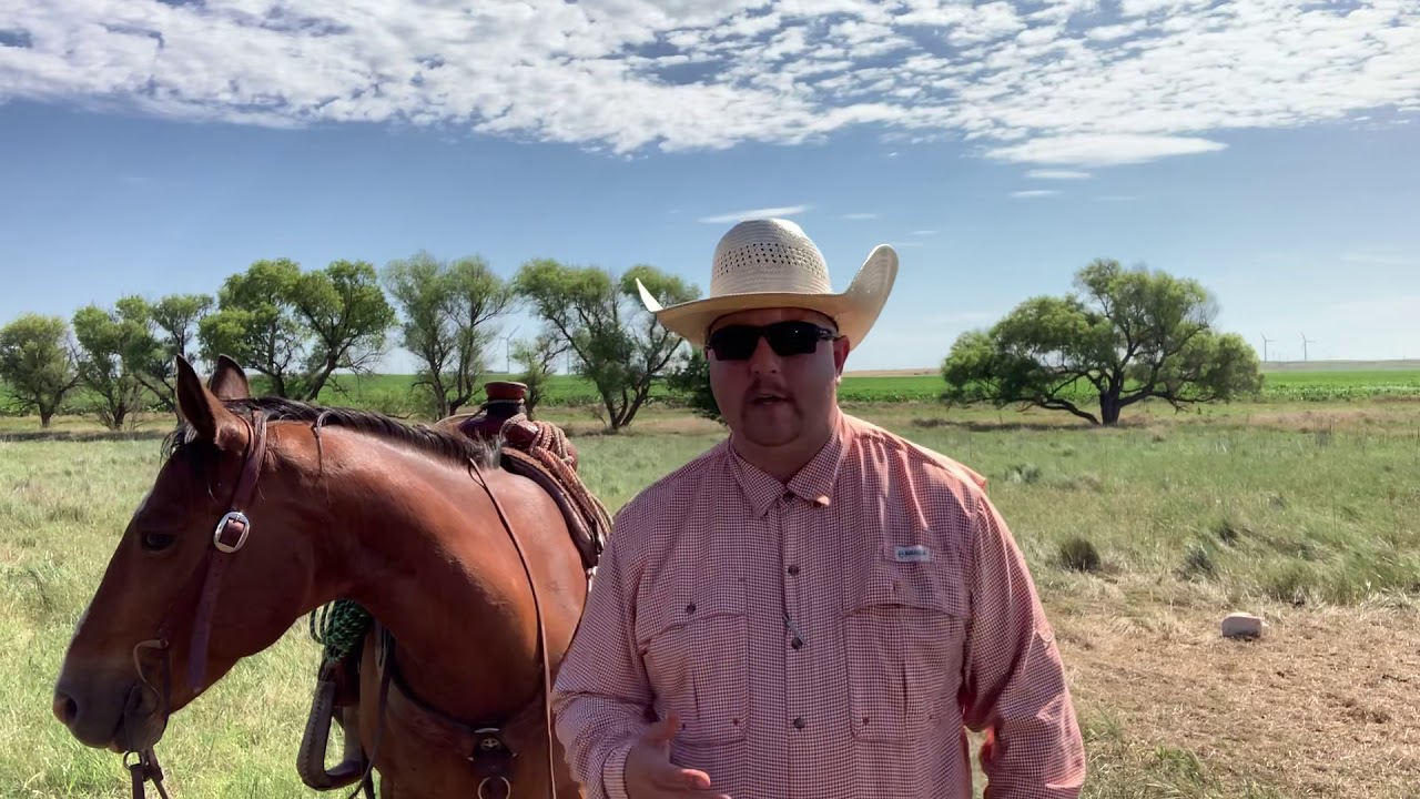 Have we changed? - YouTube