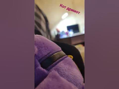 кот дримот дрихнит:) - YouTube