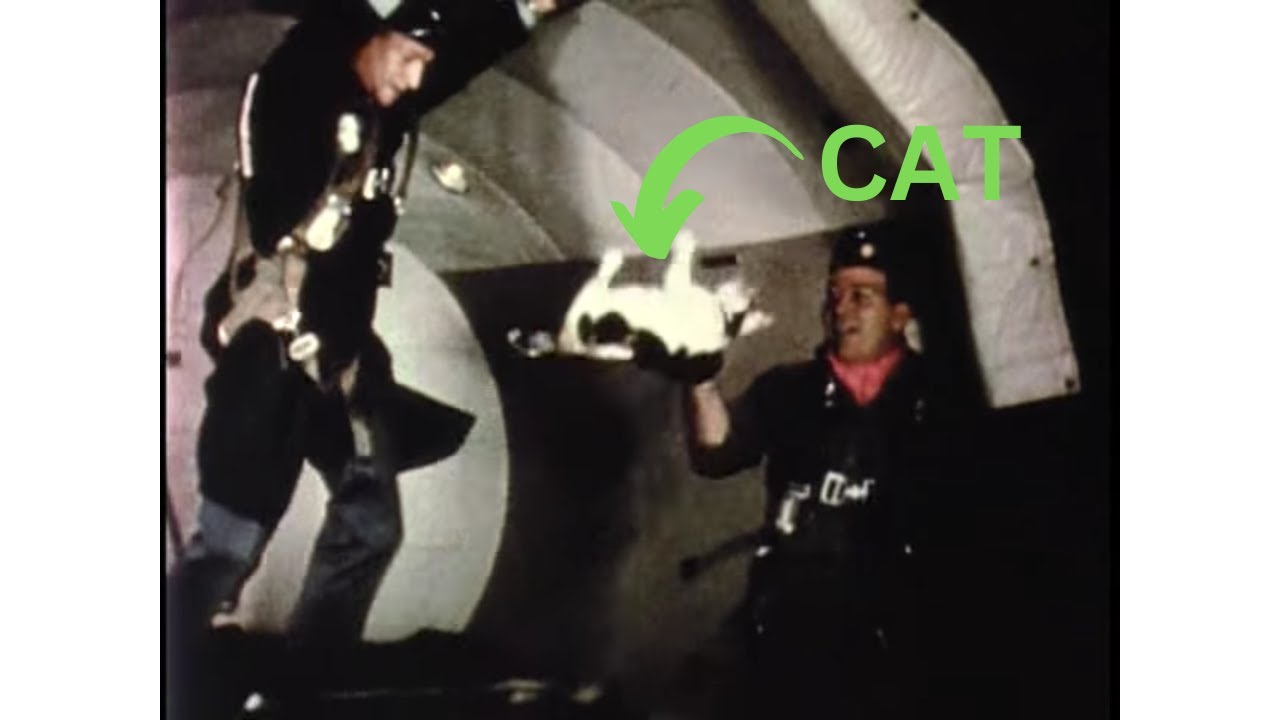 Advanced Aerospace Testing: From Ejections, Animals (Cats, Pigeons) to ...