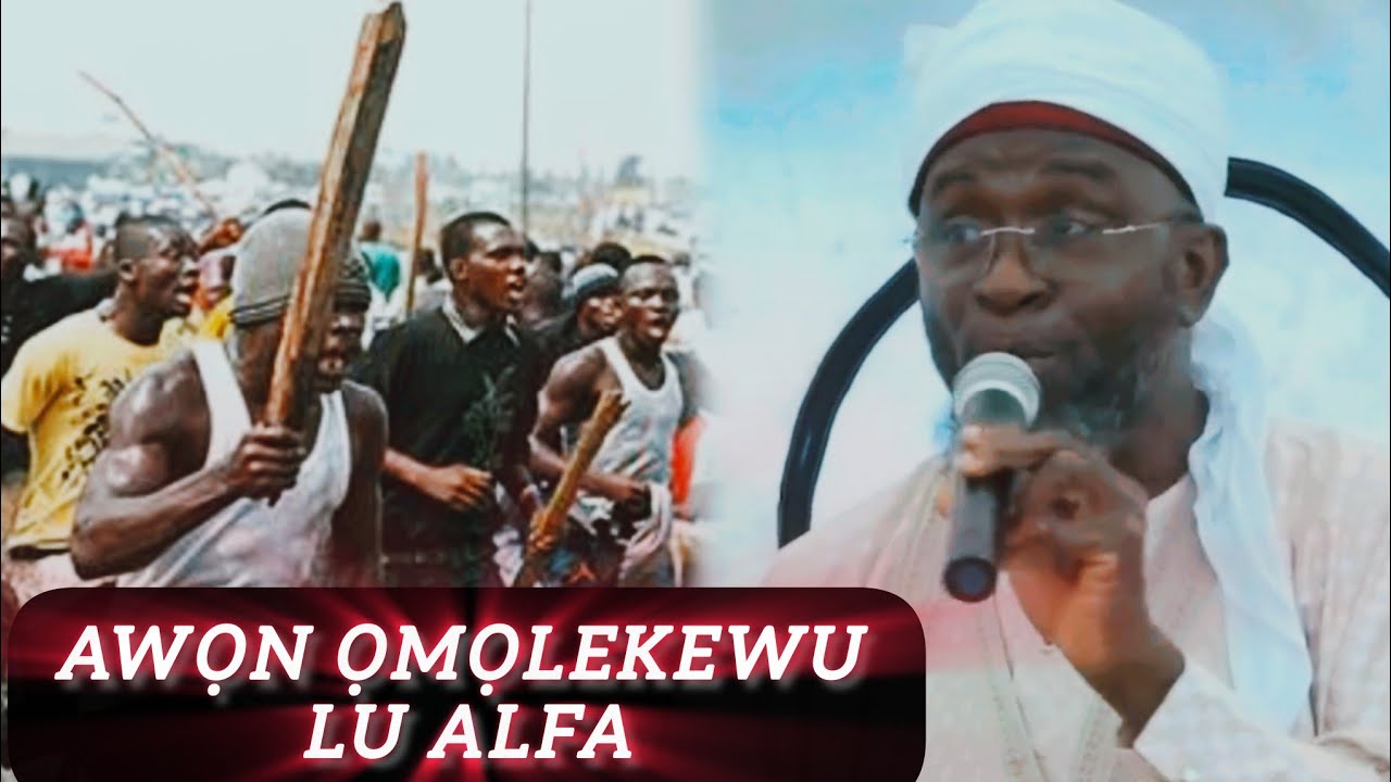 The Alfa That Was Beaten by His Students Several Times & Secret of ...