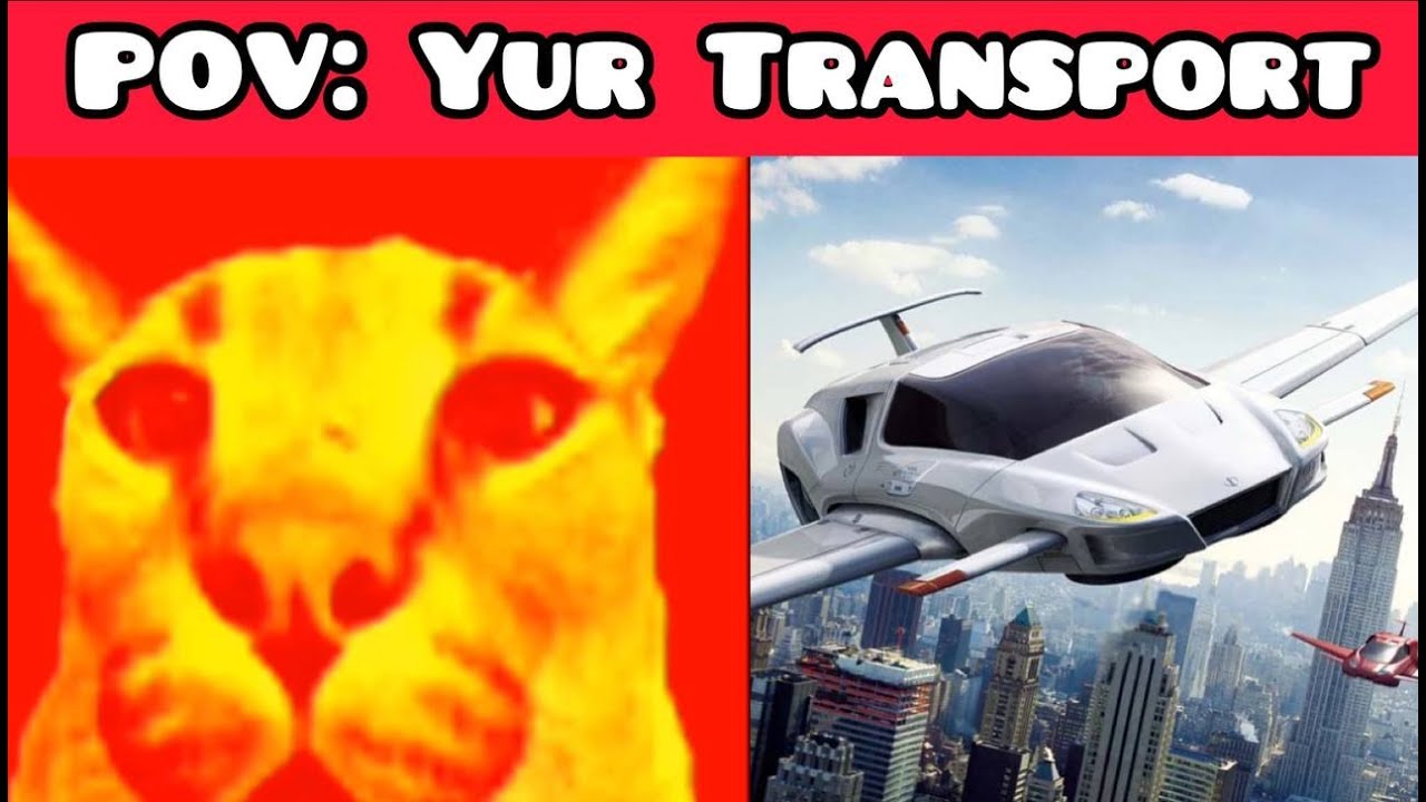 Floppa Becoming Old POV: YUOR TRANSPORT - YouTube