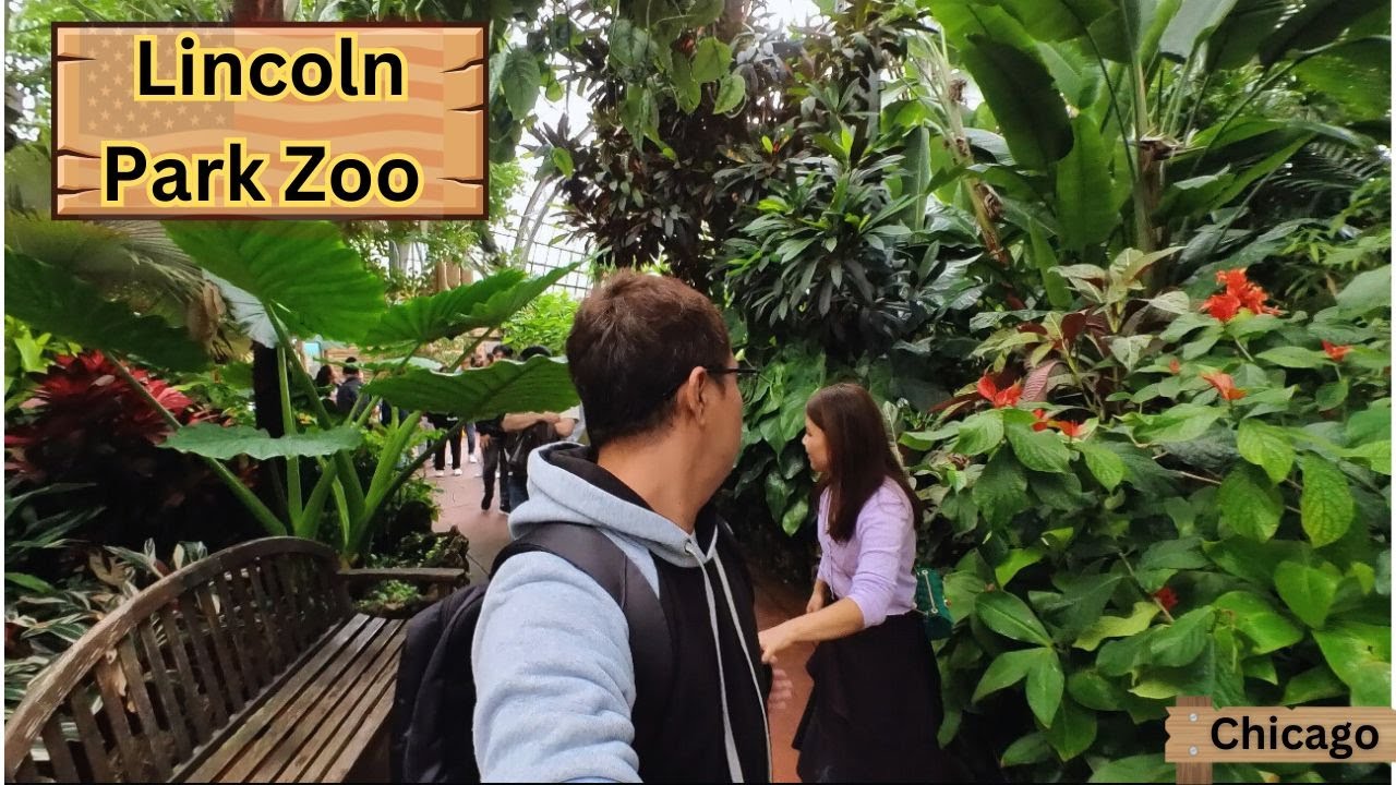 A Day at Lincoln Park Zoo | Chicago's Free Wildlife Adventure Vlog 5 # ...