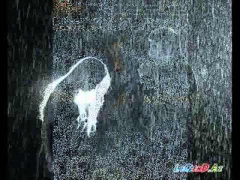 yagis yagirdi(sehriyar)