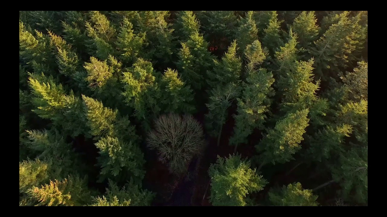 Step 2. Trance Mediumship 🎧 - Blending with your spirit guide - Guided ...