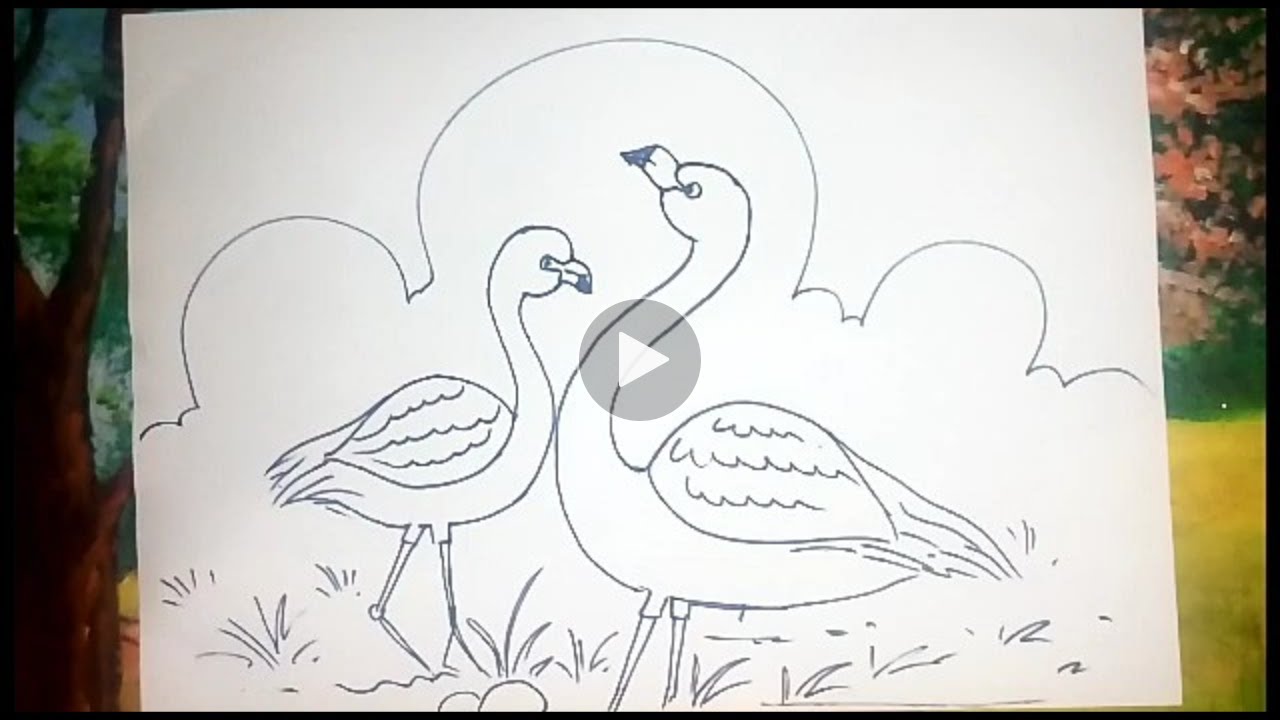 do hanso ka jora || drawing class || - YouTube
