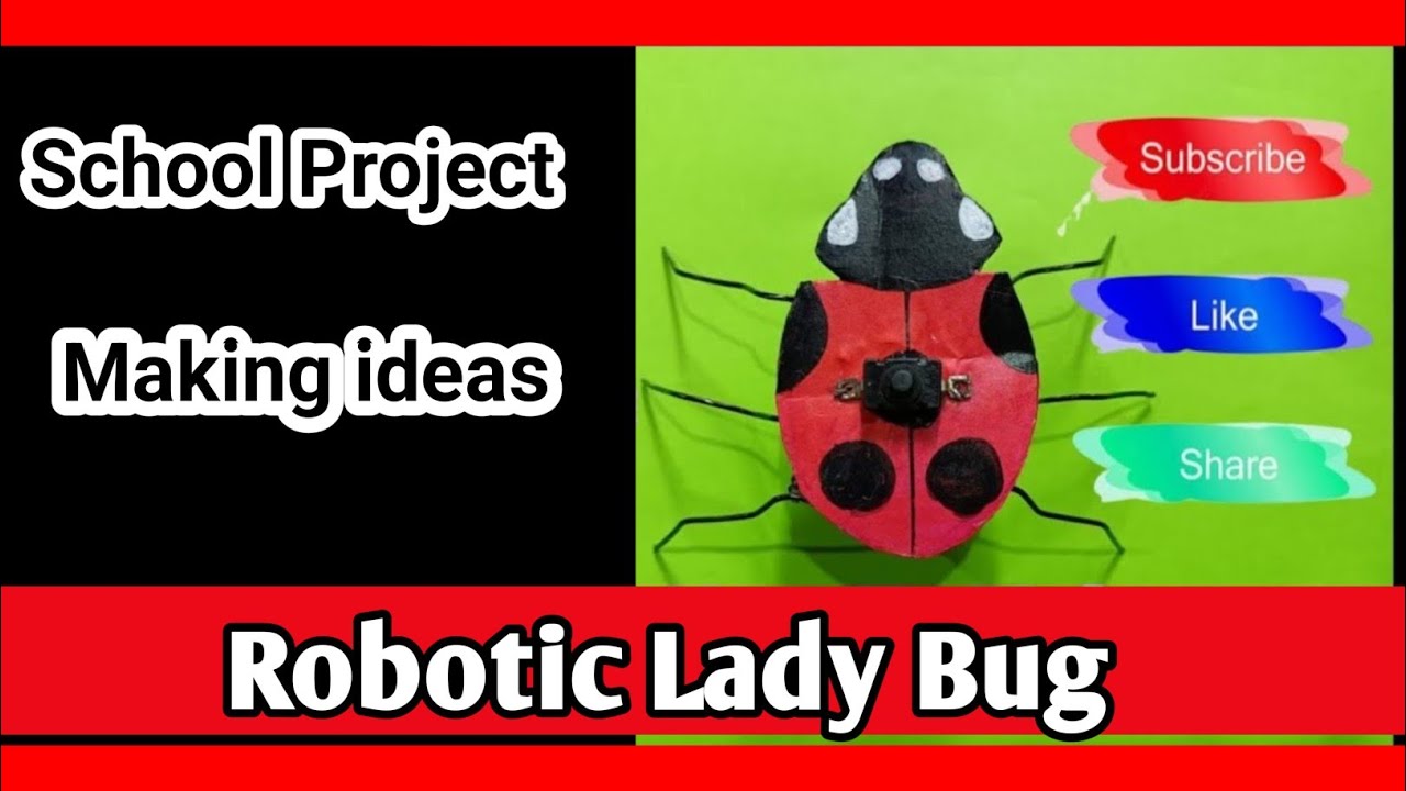 How To Make Robotic Ladybug - YouTube
