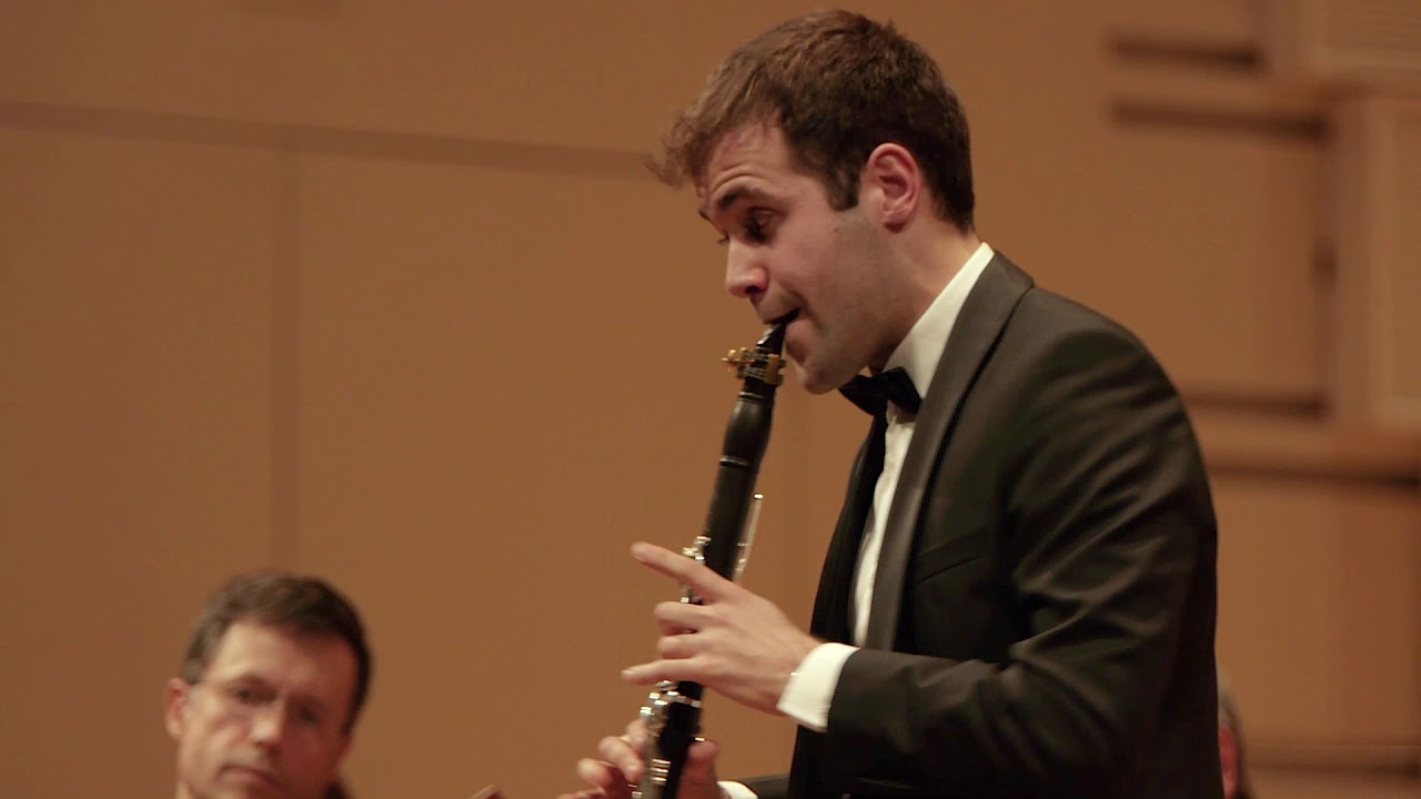 Sérgio Pires - F. Danzi - Fantasy on "Lá ci darem la mano" - Live ...