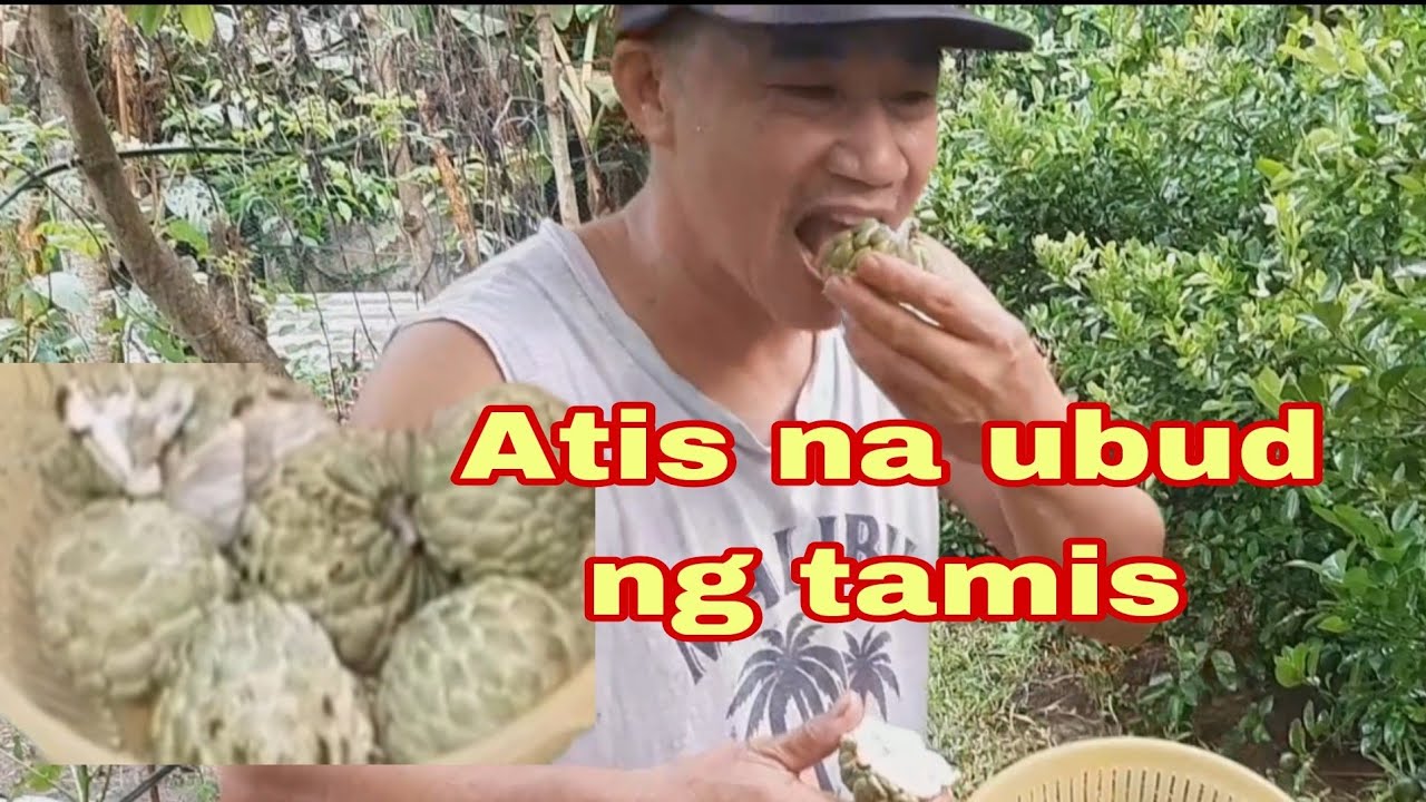 Atis na matamis - YouTube