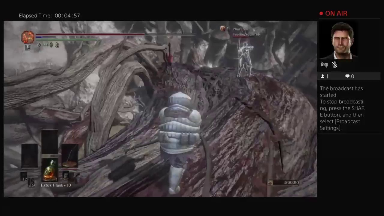 the_net2012's Live PS4 Broadcast - YouTube