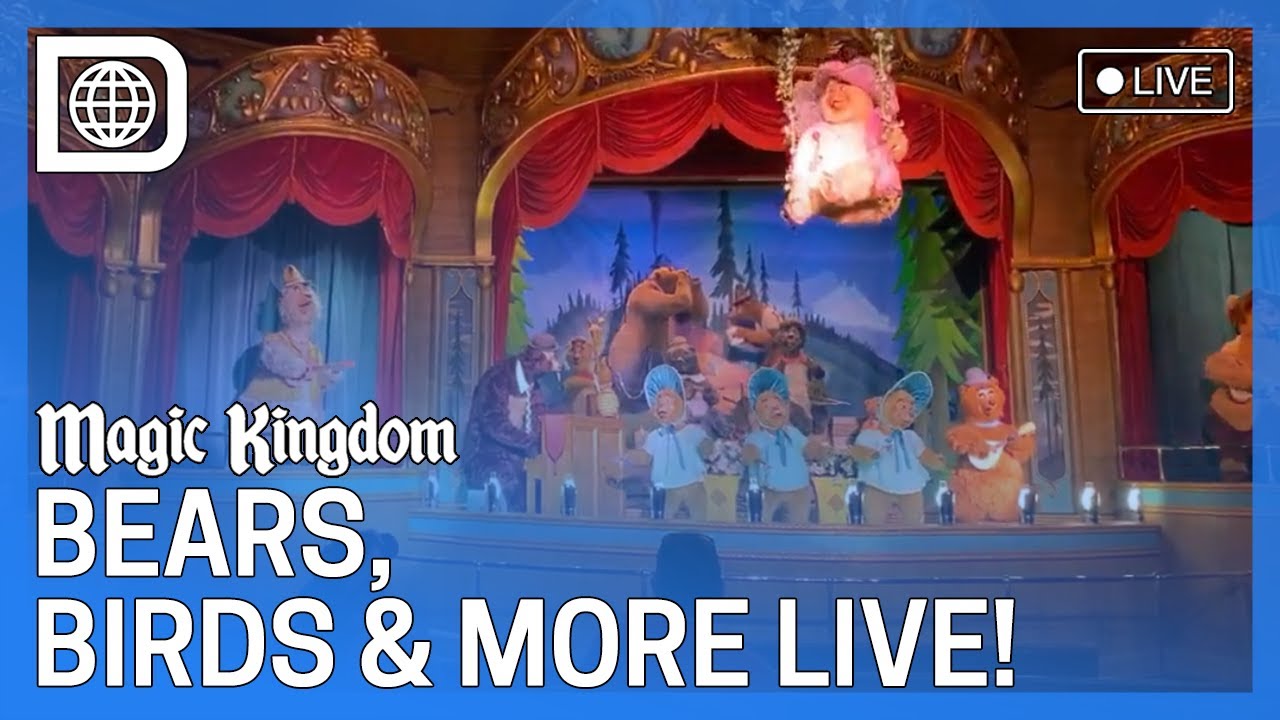🔴Bears, Birds, and More Magic Kingdom Fun LIVE - YouTube