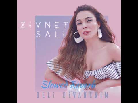 Ziynet Sali - Deli Divanenim (Slowed + Reverb)