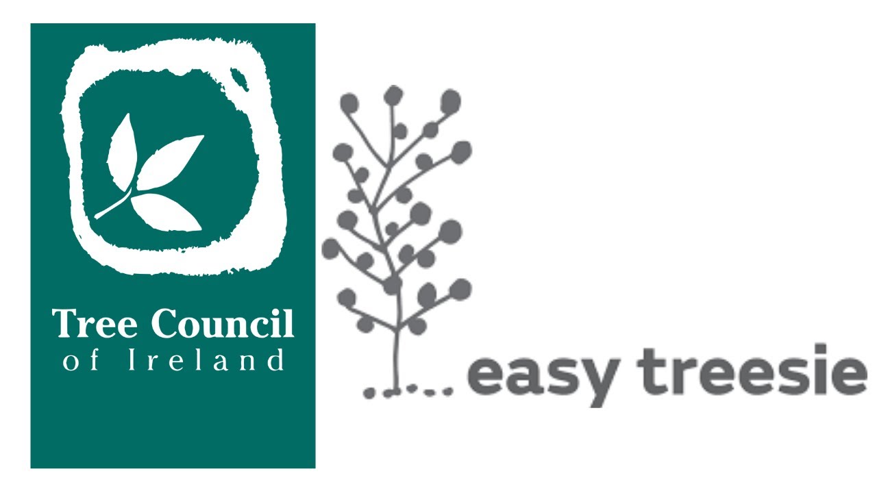 The Easy Treesie Story - Film Friday! (Tree Council of Ireland Webinar ...