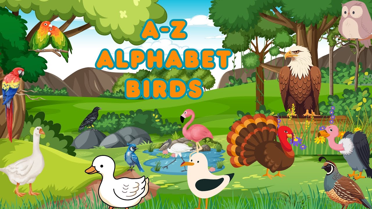 "A to Z Alphabet Birds Song | Fun & Educational Rhymes for Kids | Learn ...